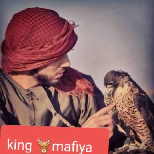 Watch king mafiya🐆🐆? Live Stream on BIGO LIVE