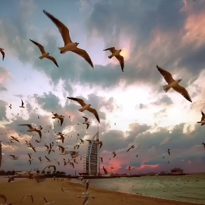 Watch Bubye! Live Stream on BIGO LIVE