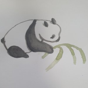 Watch Coco Live Stream on BIGO LIVE