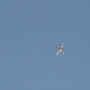 Watch Z Live Stream on BIGO LIVE