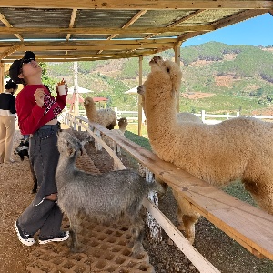 Watch NaTit Live Stream on BIGO LIVE