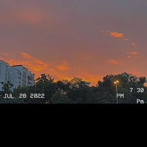 Watch wmd Live Stream on BIGO LIVE