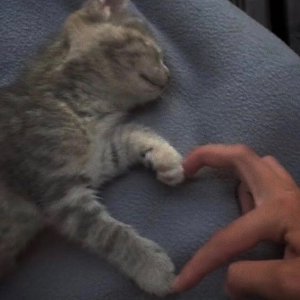 BIGO LIVE'da shegy Canlı Yayın İzleyin