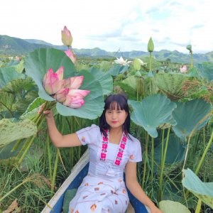 Watch 💛Shwe Mi💜 Live Stream on BIGO LIVE