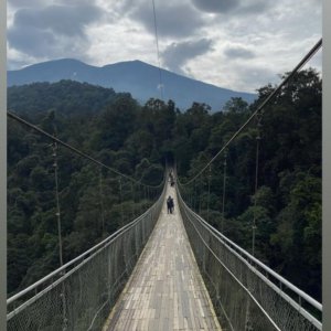 Watch M1o Live Stream on BIGO LIVE