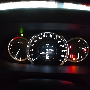 Watch Elon Live Stream on BIGO LIVE