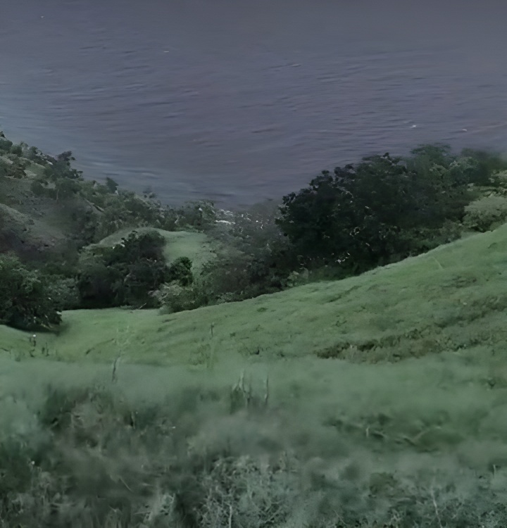 797979(BIGO ID: gnouh9) | BIGO LIVE