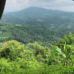 Watch emrm 36 Live Stream on BIGO LIVE