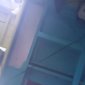 Watch ꯱ׁׅ֒🦋 Jay🐲 Live Stream on BIGO LIVE