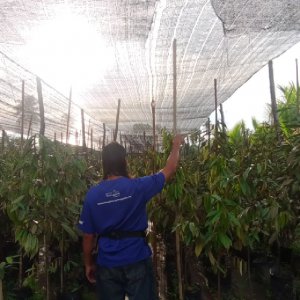 Watch felix Live Stream on BIGO LIVE