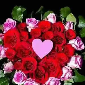 Watch Md Selim Live Stream on BIGO LIVE