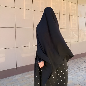 欢迎来到 ˢᶰDena Haura🌺的直播间