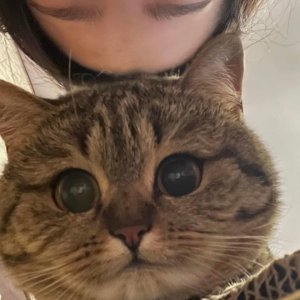 Watch sarah Live Stream on BIGO LIVE