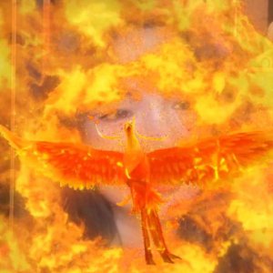 Watch Btv Live Stream on BIGO LIVE