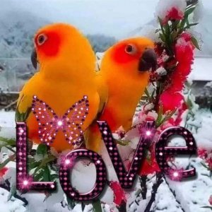 Watch Momo Momo Live Stream on BIGO LIVE