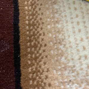 Watch adree Live Stream on BIGO LIVE