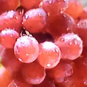 Watch Kotha Moni Live Stream on BIGO LIVE