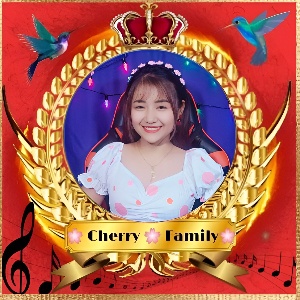 Watch 🌸Cho Zin Thwe🌸 Live Stream on BIGO LIVE