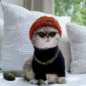 Watch Raull Live Stream on BIGO LIVE