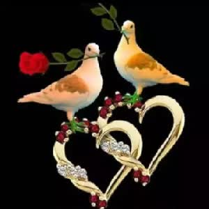 Watch MD JULHAS MlA Live Stream on BIGO LIVE