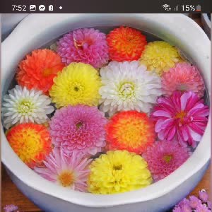 Watch I'm sad bat I'm Live Stream on BIGO LIVE