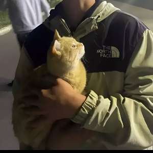 Watch sabawoon brand Live Stream on BIGO LIVE