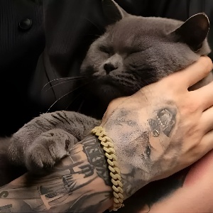 Watch AFG///KING👑🦁 ️ Live Stream on BIGO LIVE