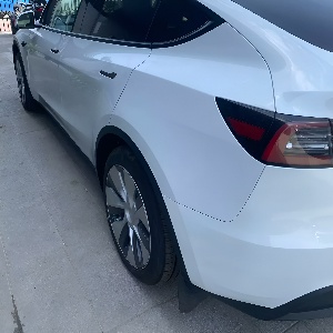 Watch Tesla Live Stream on BIGO LIVE