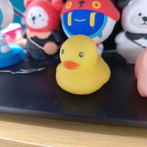 Watch Zxsq. Qazw Live Stream on BIGO LIVE