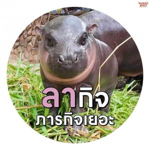 欢迎来到👑kanoom的直播间