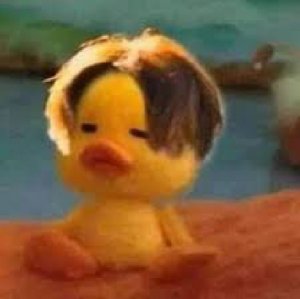 Watch 𝐕𝐋ⓃᵛʲOs piv🐥? Live Stream on BIGO LIVE