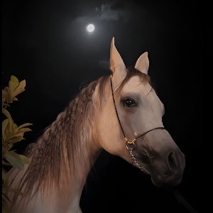 Watch Rafea Live Stream on BIGO LIVE