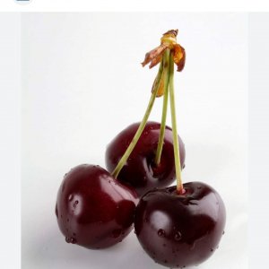 Watch Cherry Live Stream on BIGO LIVE