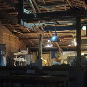 Watch dongkoy Live Stream on BIGO LIVE