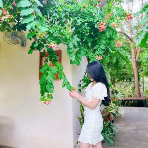 Watch Eo Chang Hy Live Stream on BIGO LIVE