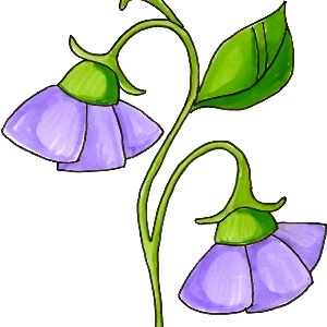 欢迎来到💫 lllllll的直播间