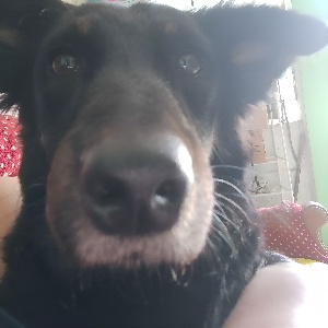 Watch Bash Live Stream on BIGO LIVE