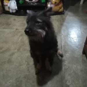 Watch ©️ғ₄🌊𝕄𝕀ℂ𝕆𝕐 Live Stream on BIGO LIVE