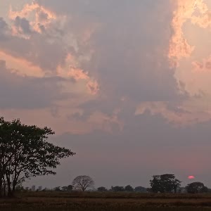 Watch 💕Thae Thae Lay♠ Live Stream on BIGO LIVE