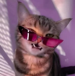 欢迎来到Chit lu Mike🐼的直播间