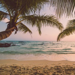 欢迎来到Marsala Ali的直播间