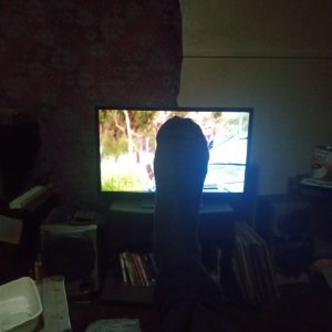 Watch Luke Mallon Live Stream on BIGO LIVE