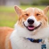 Watch Prince Angel Live Stream on BIGO LIVE