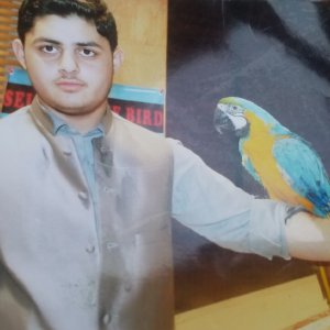 Watch Muhammad Azan Live Stream on BIGO LIVE