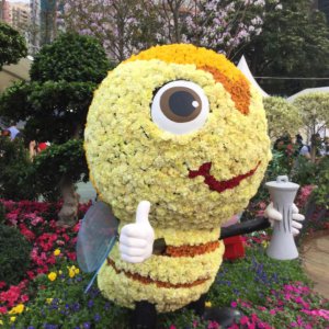 Watch Robert Lai Live Stream on BIGO LIVE