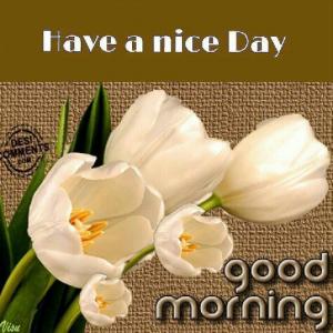 Watch Tarsem Lal Live Stream on BIGO LIVE