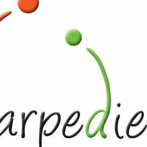 Watch Sando Live Stream on BIGO LIVE