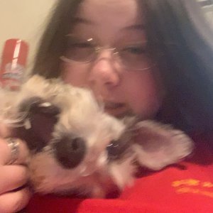 欢迎来到Kalissa🤪的直播间