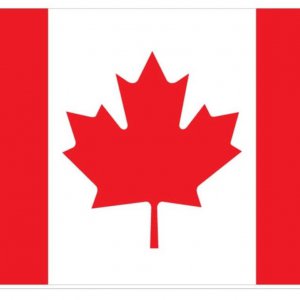 Watch Amar Live Stream on BIGO LIVE