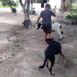 Watch pedro filho Live Stream on BIGO LIVE